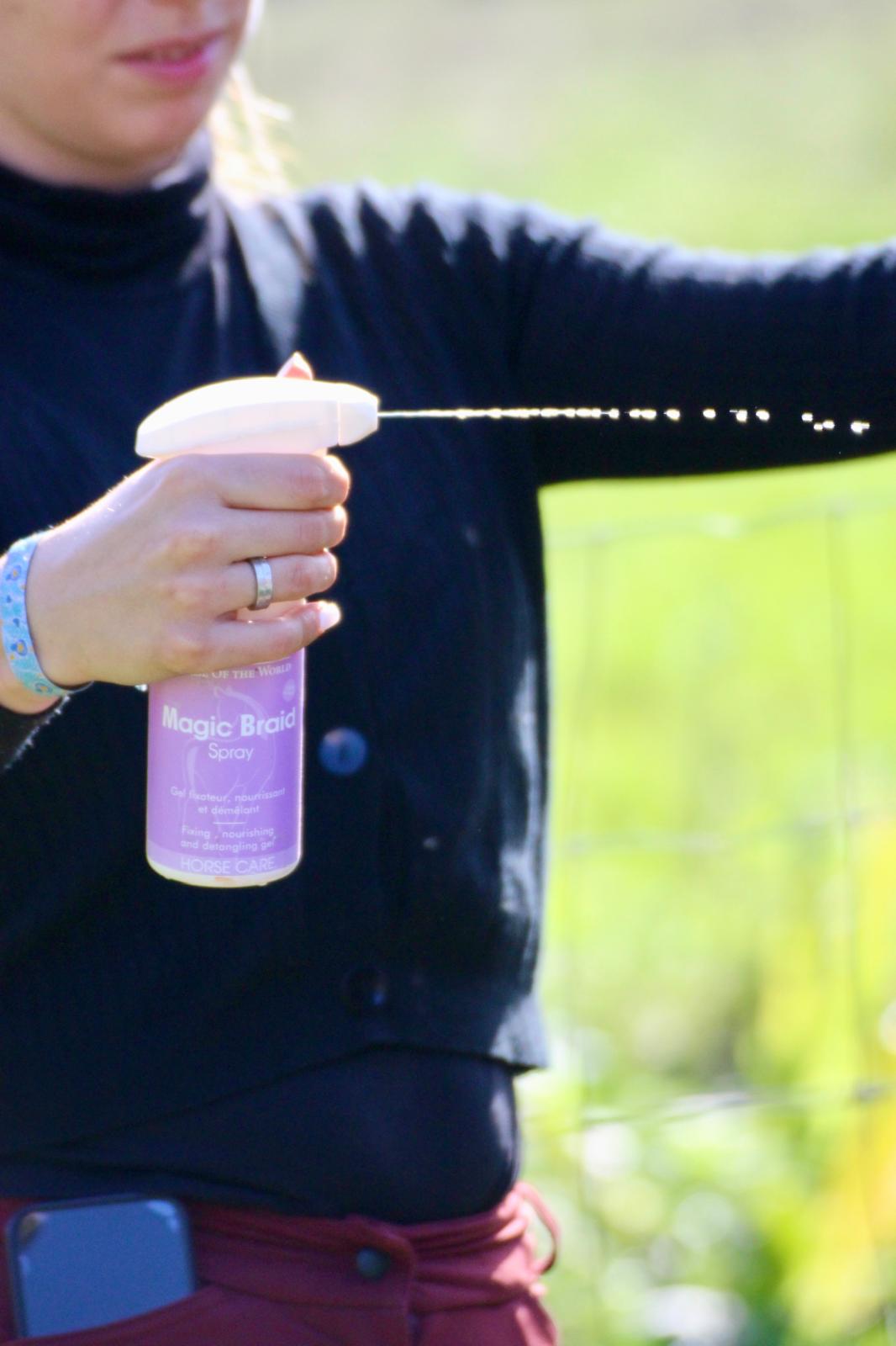 Magic Braid – Horseoftheworld