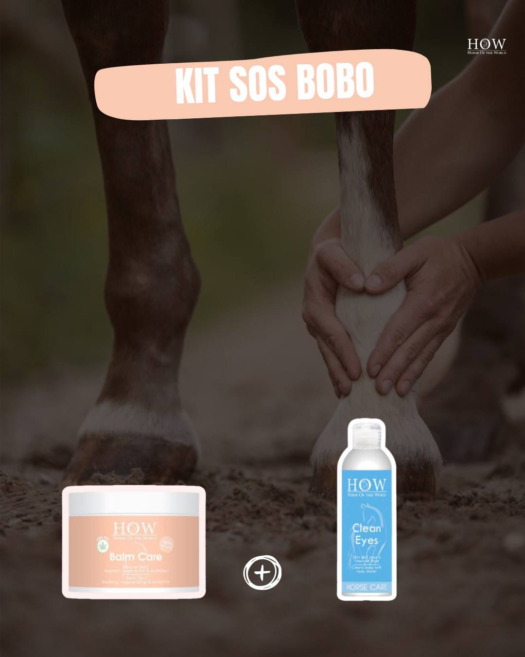 Kit SOS Bobo - Soins des yeux et plaies pour chevaux et cavaliers ...